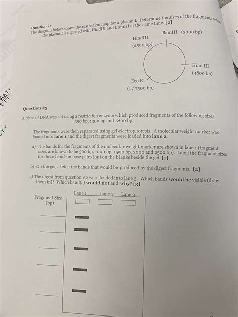 Solved Question 2the Diagram Below Shows The Restriction