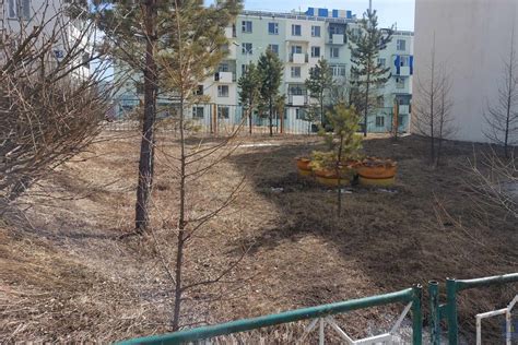 Хаврын их цэвэрлэгээг зохион байгууллаа