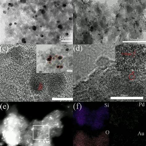 A SEM Images Of PdAu SiO2 Bd TEM Images Of PdAu SiO2 TEM Images
