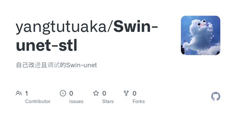 Github Yangtutuaka Swin Unet Stl 自己改进且调试的swin Unet