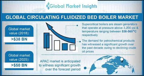 Circulating Fluidized Bed Boiler Market Share Report
