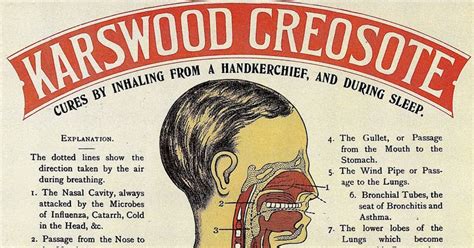 Tywkiwdbi Tai Wiki Widbee Inhaled Creosote As A Medicine