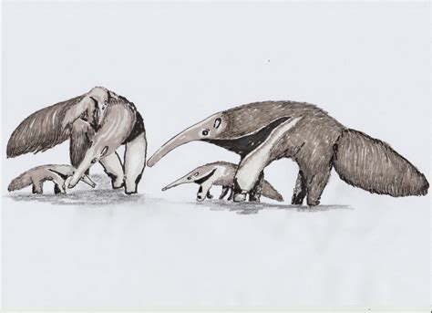 Schaubild Maya The Anteater Quizlet