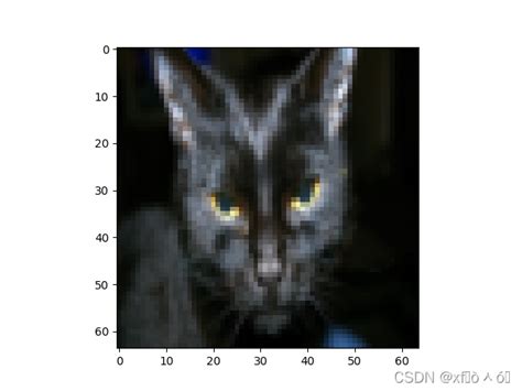 Pltimshow不显示图像怎么办？imshow显示不出图像 Csdn博客
