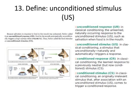 Ch 7 Learning Pages Textbook Questions Ppt Download