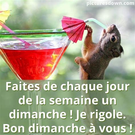 Bon Dimanche Humour Image Cocktail