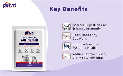 Petvit Pre & Probiotics Gut Health Powder for Dogs, Cats, Puppies ...