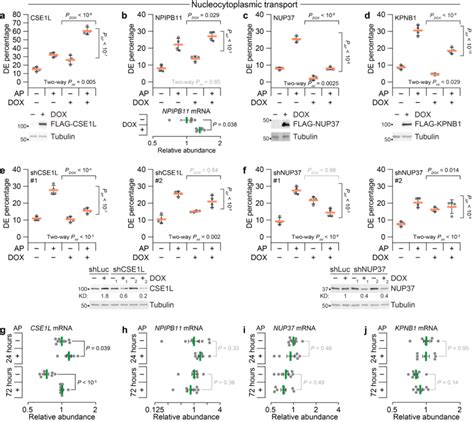 acute gain and loss of function approaches support a role for