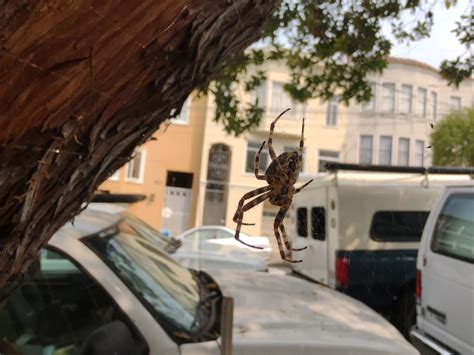 Motorola Edge Review A Mid Range Stunner Phandroid