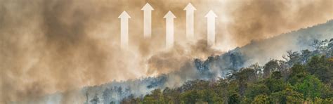 Efecto Invernadero Y Deforestación Relación Y Causas