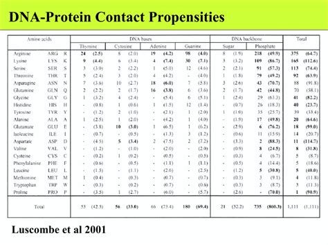 Protein Dna Interaction Ppt Chemistry Science