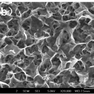 SEM Images Of A WS2 B MoS2 And C MoS2 WS2 Hybrid Nanosheets The
