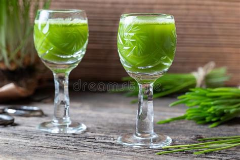 Two Glasses Of Barley Grass Juice With Fresh Barley Grass In The