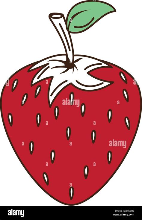 Fresh Strawberry Isolated Icon Vector Illustration Design Stock Vector