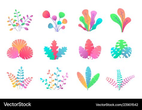 Plant Leaves Set Royalty Free Vector Image Vectorstock