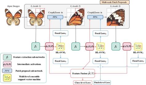 The Pipeline Of The Proposed Increasingly Specialized Perception Download Scientific Diagram