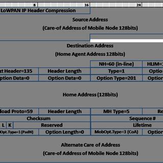 A Binding Update Message In Mobile IPv6 B Binding Update Message Download Scientific