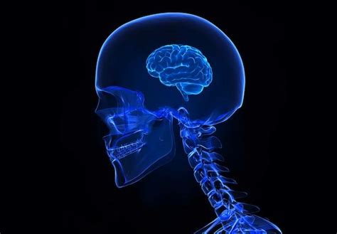 Size Does Matter How Cleaning Up Your Act Can Stop Your Brain From