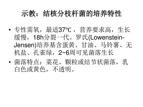 病毒 Ppt Download