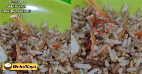 Msian Woman Disgusted To Find Maggots Inside Fried Rice At Famous