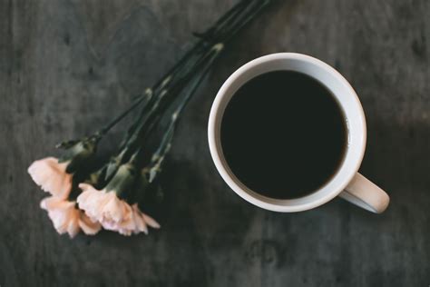 Banco de imagens copo xícara de café Ainda fotografia da vida