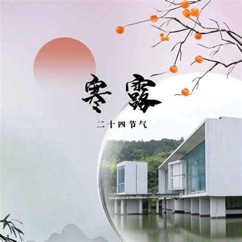 深秋渐至寒露满枝 城市学院 苏州