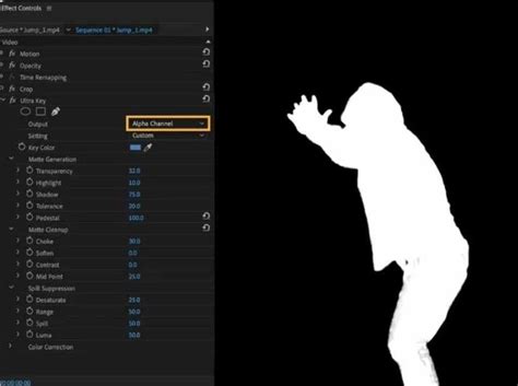 How To Remove Background In Premiere Pro