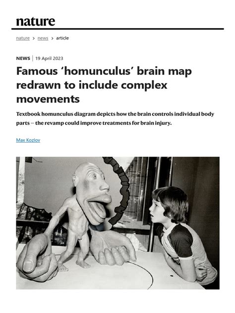 Famous Homunculus Brain Map Redrawn To Include Complex Movements Pdf