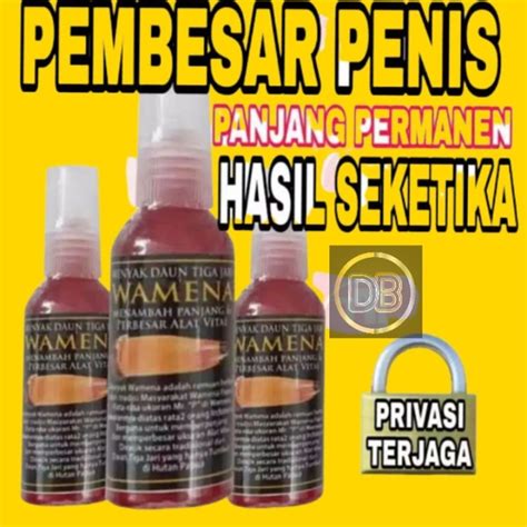 Jual MINYAK DAUN TIGA JARI DAUN BUNGKUS MINYAK WAMENA DAUN TIGA JARI