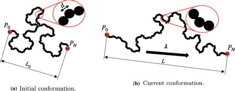 A Initial Conformation B Current Conformation A Single Polymer Chain