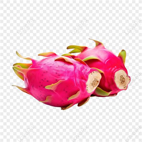 익은 용과 피타야 또는 피타하야 Hylocercus Undatus 브리트 로즈는 흰색 배경 과일 건강한 개념에 고립되어 있습니다 Png 일러스트 무료 다운로드 Lovepik