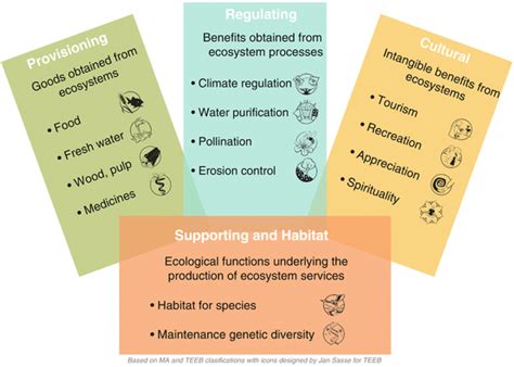 Classification Of Ecosystem Services Based On The Millennium Ecosystem Download Scientific