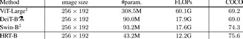 Comparisons To Vit And Deit On Coco Pose Estimation Val ‡ Marks The