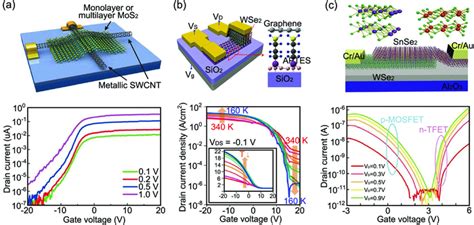 Schematic Illustrations Of Recently Developed Vertical Vdw Tfets A A