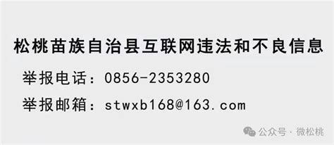 奋进的春天迓驾镇订单辣椒移栽忙 群众增收有保障