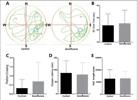 Figure 3 From Sevoflurane Induces Temporary Spatial Working Memory Deficits And Synaptic