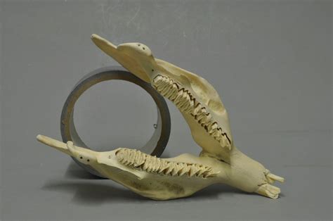 Capybara Teeth Structure Adaptations Evolution And Essential Dental