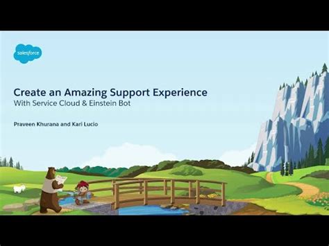 Service Cloud Salesforce Developer Center