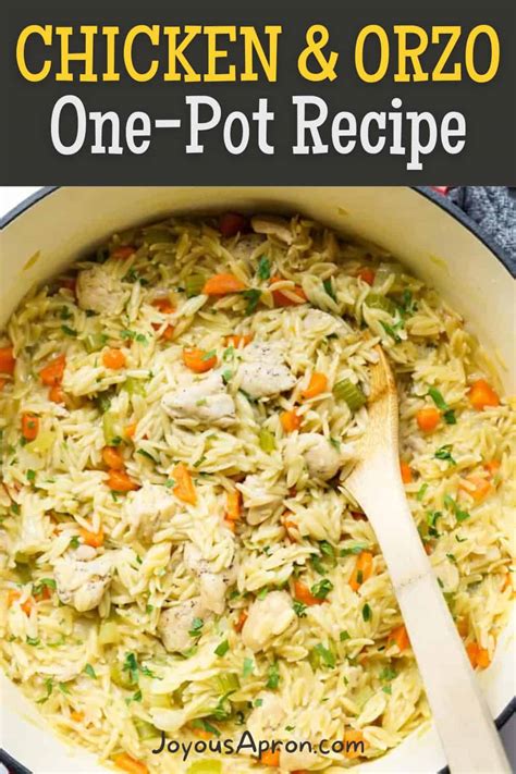 Chicken And Orzo Easy One Pot Meal Joyous Apron