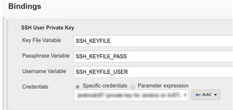 Use Ssh Key From Jenkins Git Plugin To Run Git Commands During Build Stack Overflow