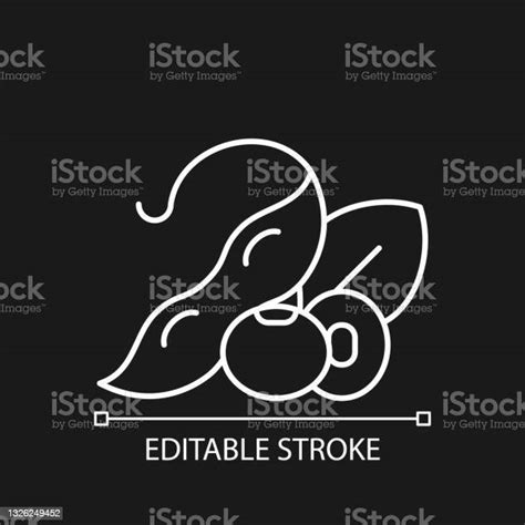 Soybean White Linear Icon For Dark Theme Stock Illustration Download