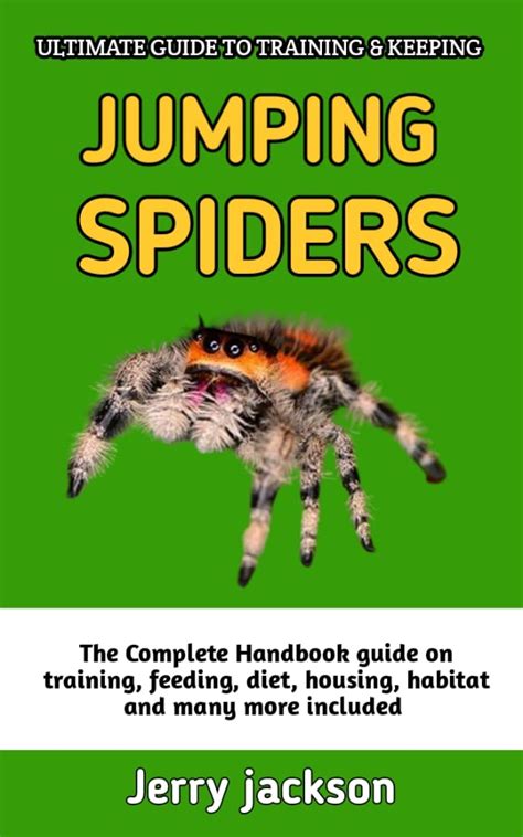 Ultimate Guide To Training And Keeping Jumping Spiders Complete