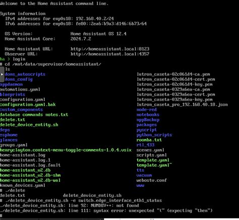 New Script To Fully Delete Devices And Entities From Homeassistant