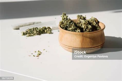 대마초 싹 흰색 테이블에 압연 잼 관절 Trichome와 의료 마리화나 변형 잡초 싹 대마초 꽃 닫습니다 의료용 대마초에 대한