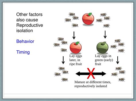 Ppt Selection Causes Microevolution Powerpoint Presentation Free