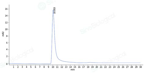 Recombinant Human Gprc5d Protein Hek293 Cells 24447 Hnah B Sino