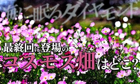 【海に眠るダイヤモンド】最終回に登場のコスモス畑はどこ