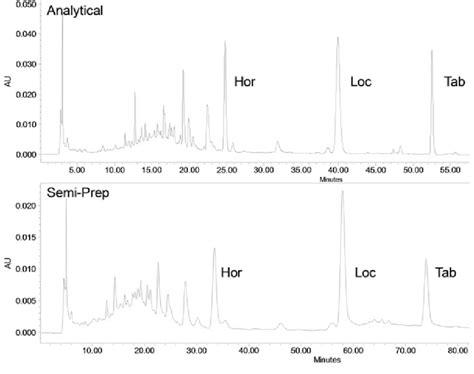 Chromatograms Of Analytical And Semi Preparative Scale Hplc Methods At Download Scientific