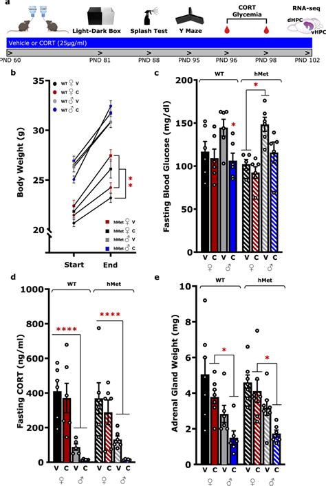 Endocrinological Sex Differences After Chronic Oral Cort A Timeline For