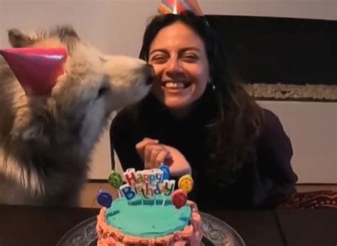 머리에 꼬깔콘 모자 쓰고 엄마에게 생일 축하 노래 불러주는 강아지 네이버 블로그